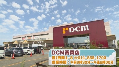[DCM夏を快適にするアイテムベスト5] 2023年6月23日（金）放送 - イチモニ！
